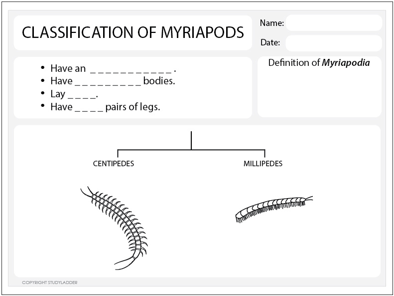 Myriapods Classification Worksheet Studyladder Interactive Learning Games